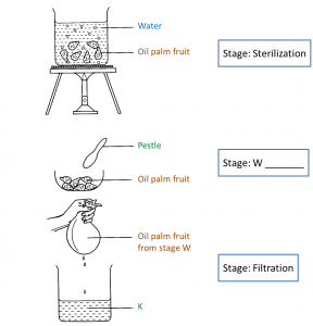 Palm Oil (Structured Questions) - SPM Science