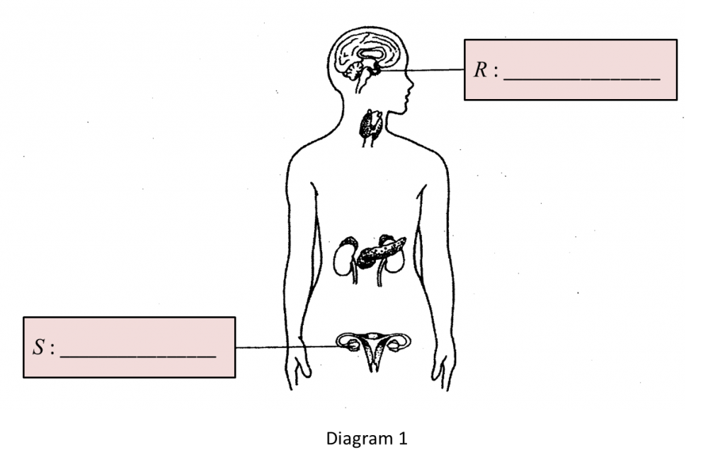 2.11.4 Hormonal Coordination in the Body (Structured Questions) - SPM ...