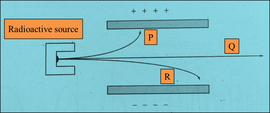 SPM Science 2018, Paper 2 (Question 8) - SPM Science