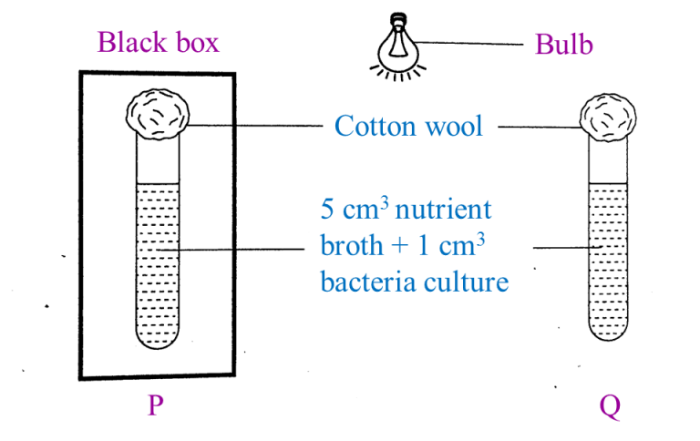 SPM Science 2017, Paper 2 (Question 2) - SPM Science