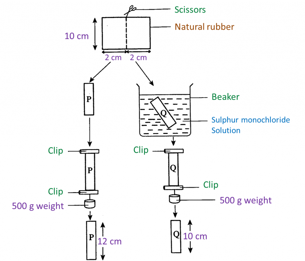 Polymer - Part 4 (Structured Questions) - SPM Science