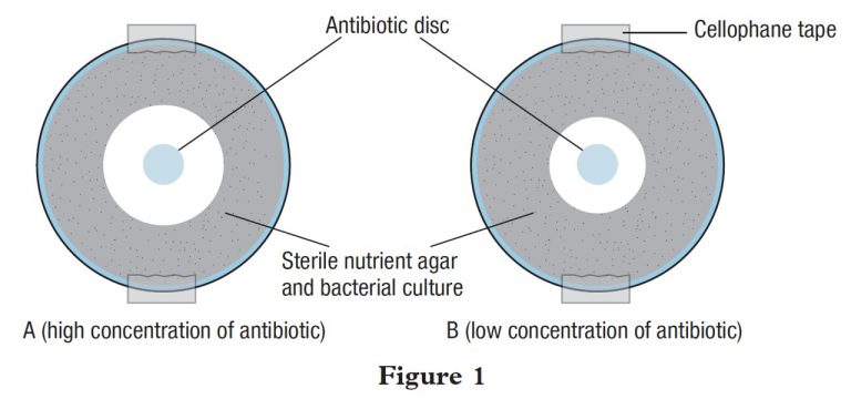 Summative Practice 1 (Question 1) - Form 5 Science (KSSM) Chapter 1 ...