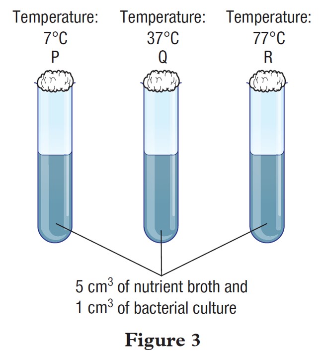 Summative Practice 1 (Question 3) - Form 5 Science (KSSM) Chapter 1 ...